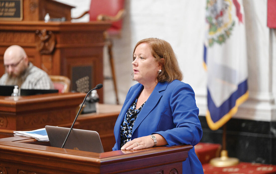 Interim Session: West Virginia Department of Human Services officials ...